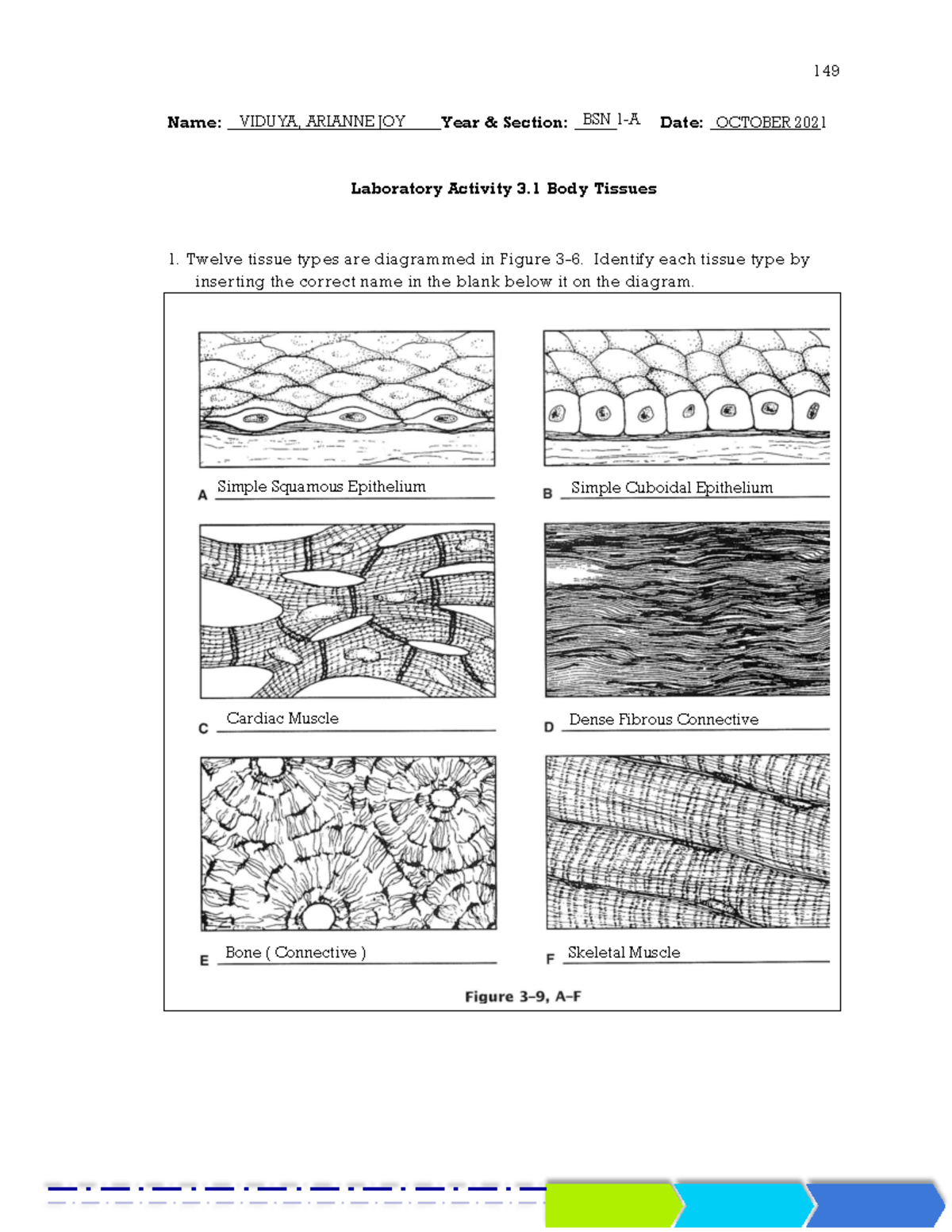 Anaphy Module 3 Laboratory Activities - Name ...
