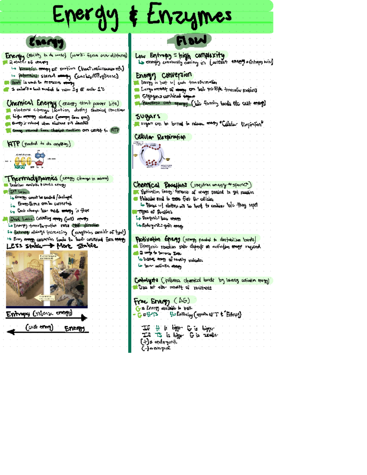 Biol Ch 5 - Principles of Biology 1, 1510, Fall 2022 - BIOL 1510 - Studocu