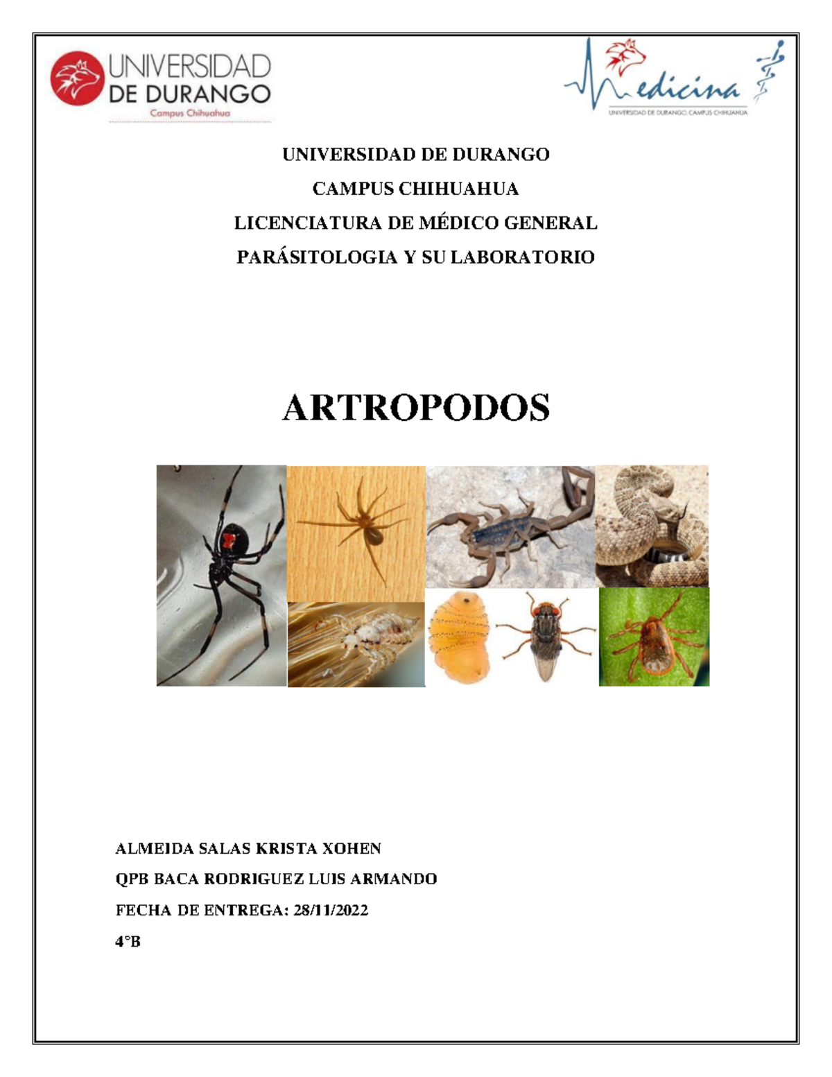 Artrópodos - UNIVERSIDAD DE DURANGO CAMPUS CHIHUAHUA LICENCIATURA DE ...