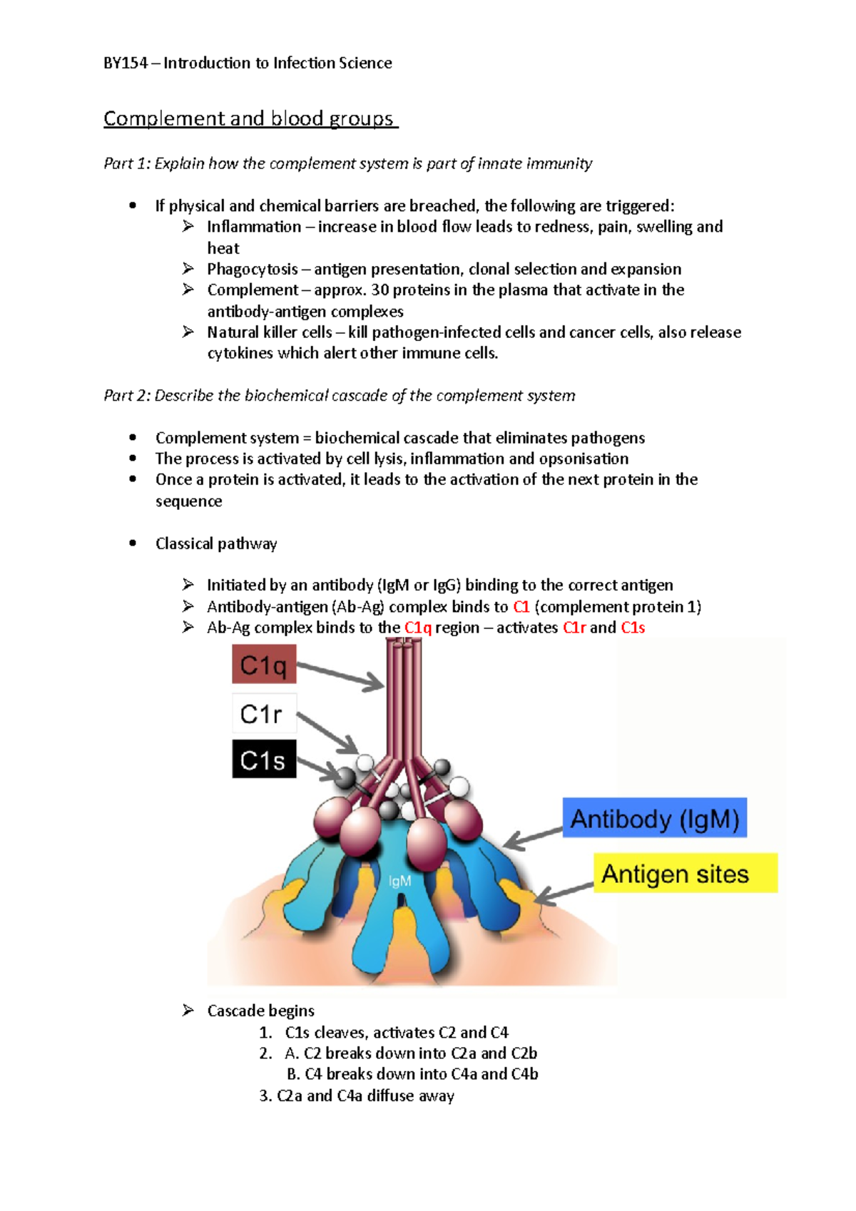 Complement and blood groups lecture notes - BY154 - BY154 ...