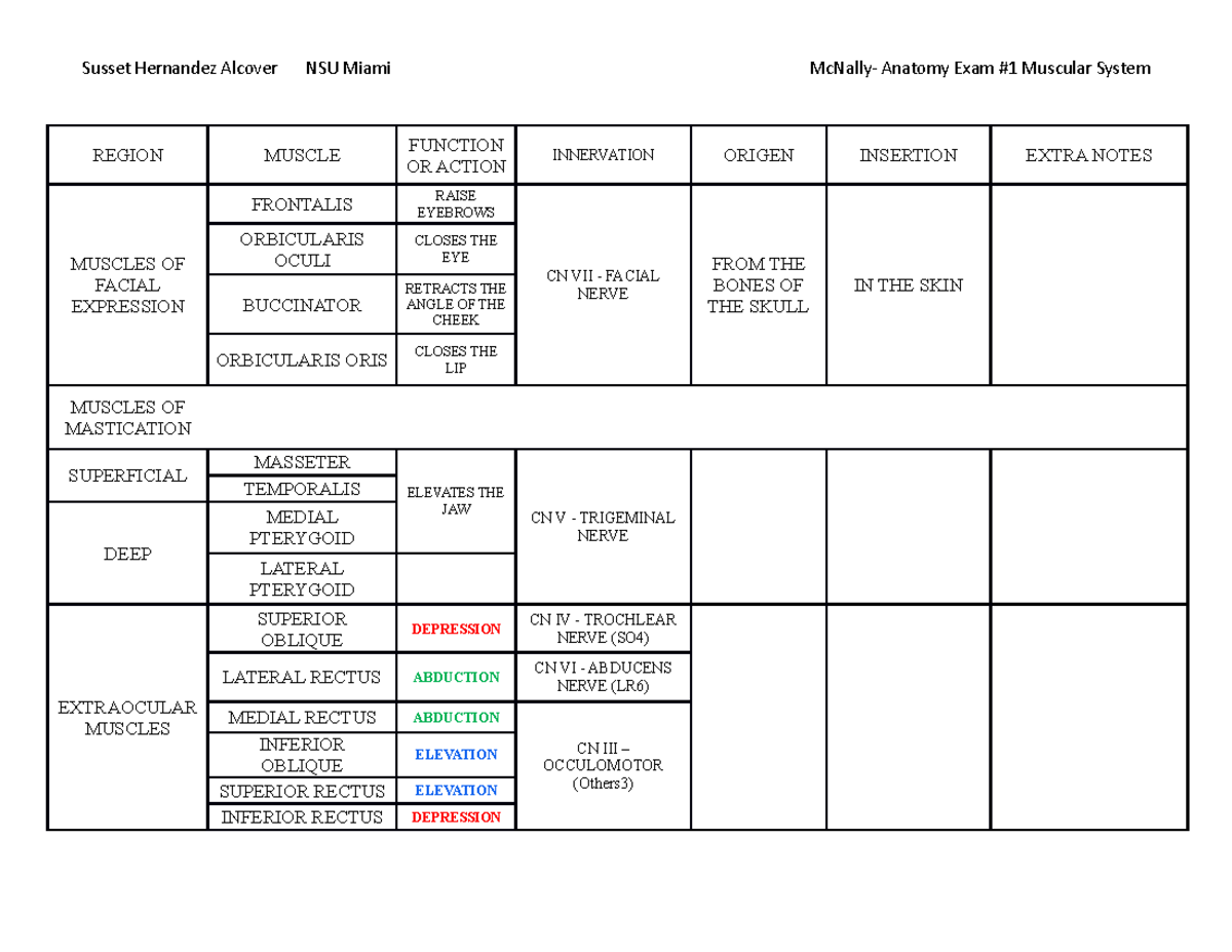 Muscular System - Summary Advanced Anatomy & Physiology For Health ...