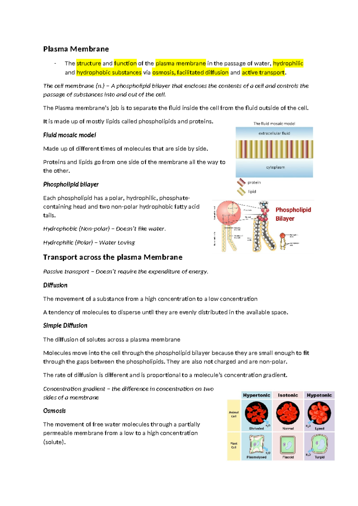 BIO AOS 1 Plasma Membrane - Plasma Membrane - The structure and ...