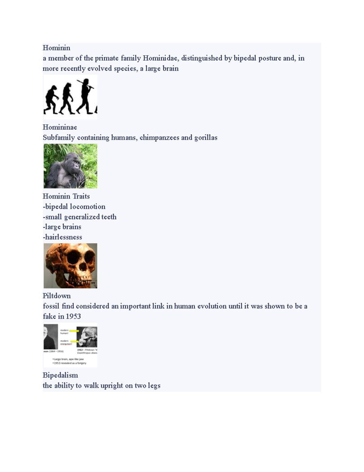 Ant 3 - practice materials - Hominin a member of the primate family ...