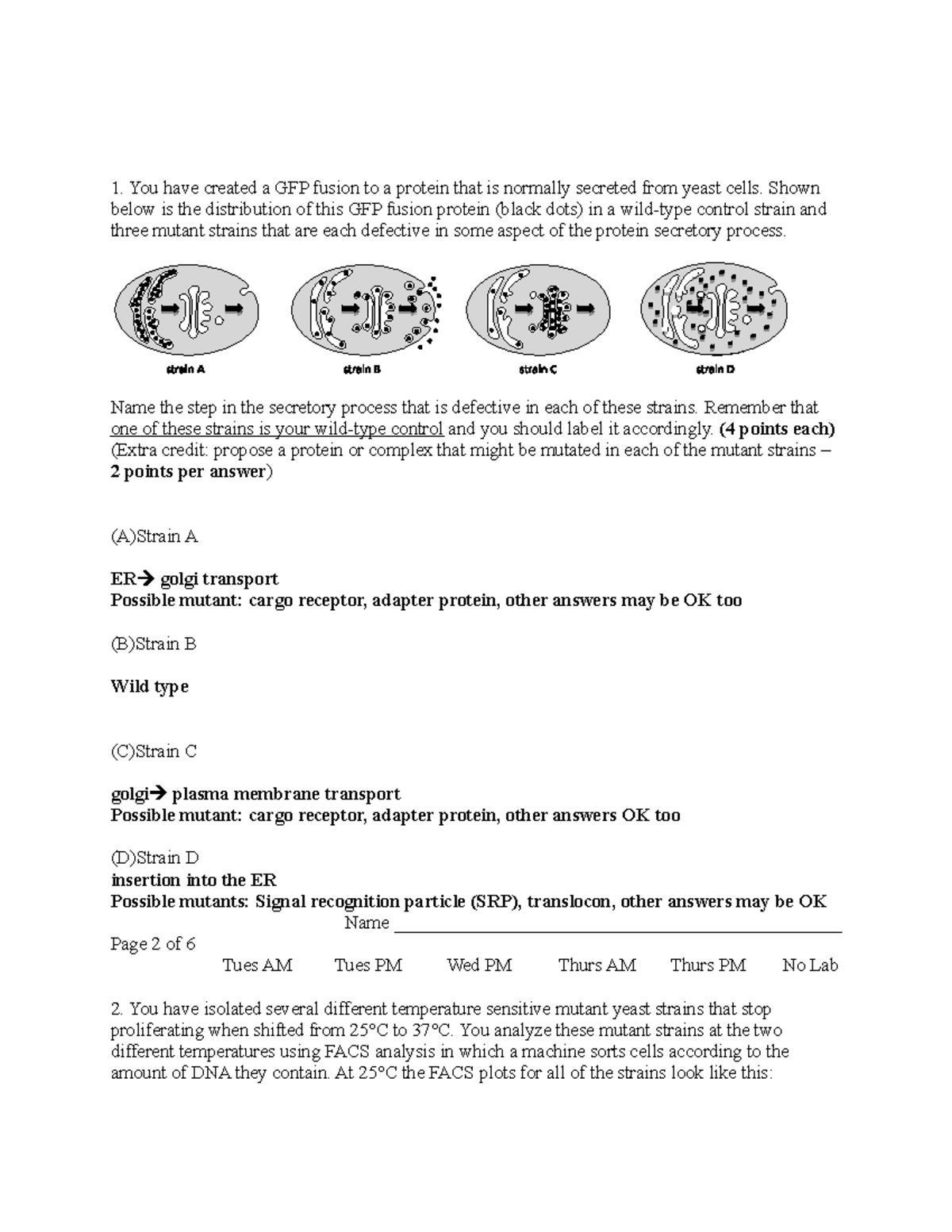 Cell biol practice exam 3 - You have created a GFP fusion to a protein ...