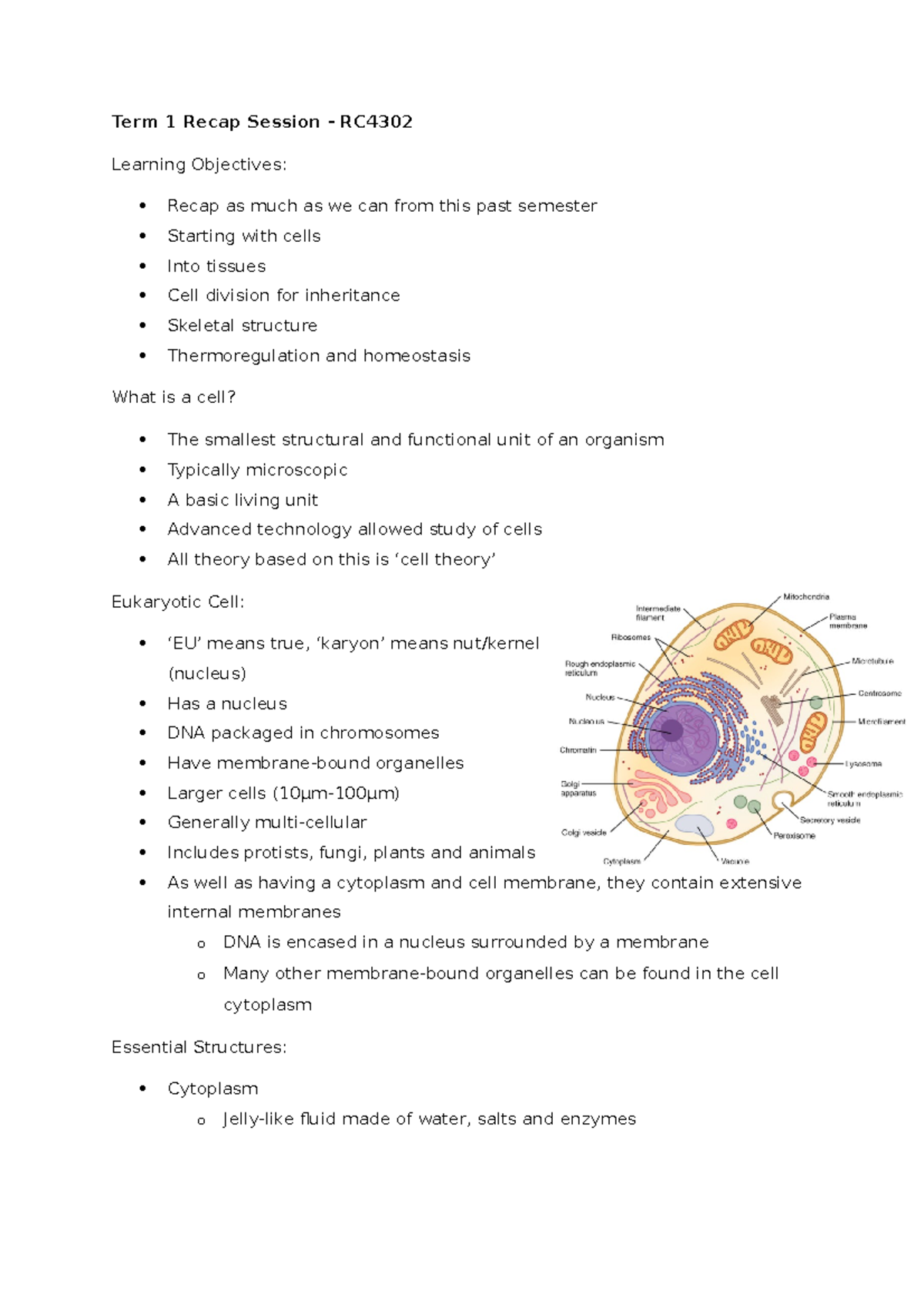 Lesson 12 - Term 1 Recap Session - Term 1 Recap Session - RC Learning ...