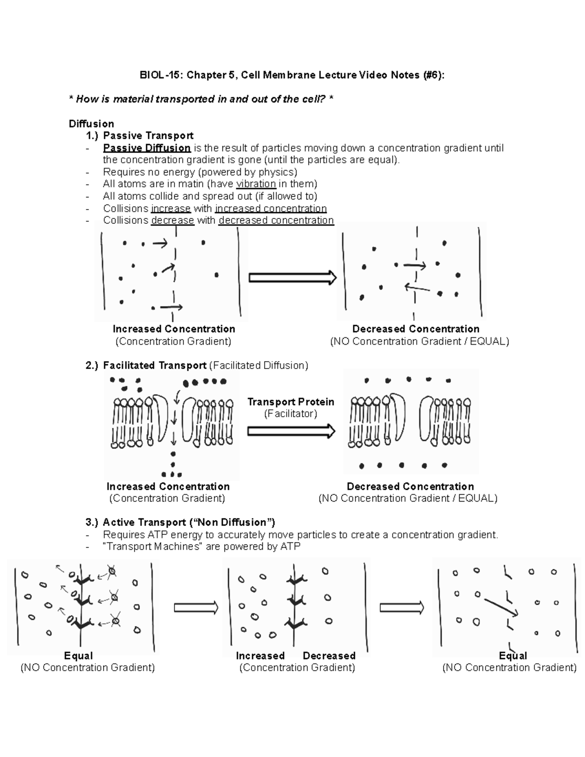 BIOL-15 Chapter 5, Cell Membrane Lecture Video Notes (#6) - BIOL-15 ...