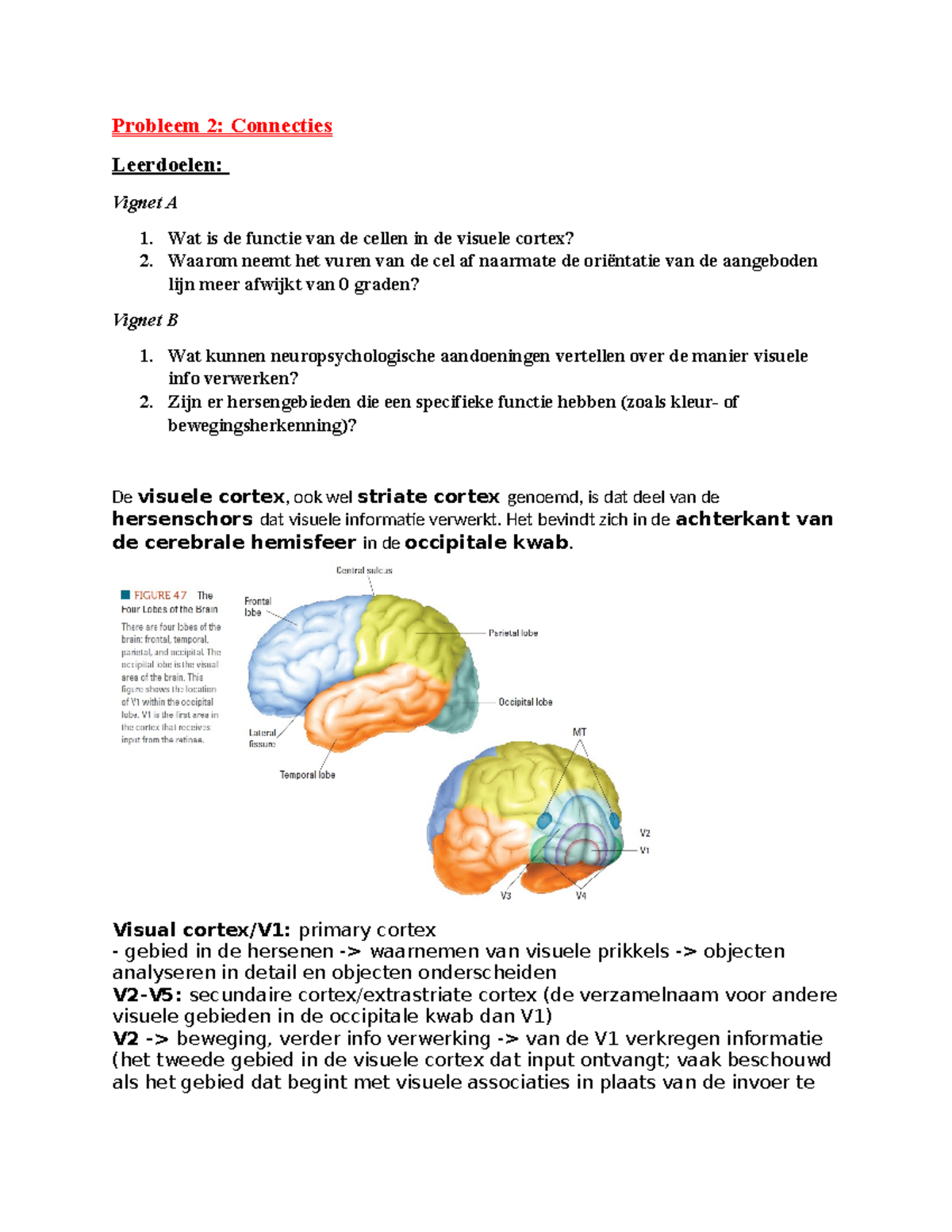 Zelfstudie P2 - Summary Blok 2.7 Brain en Cognition Perceptie ...