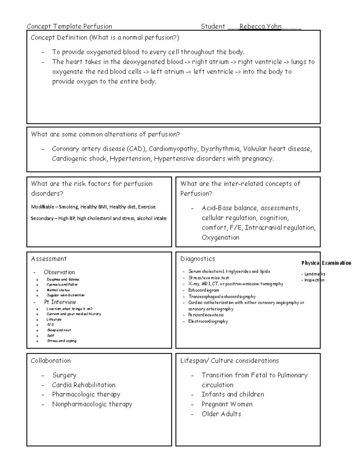 Concept template perfusion - Becca Yohn - Concept Template Perfusion ...