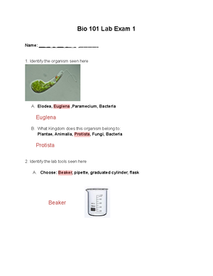 Lab 5 the structure and function of cells - BIO 101 - Studocu