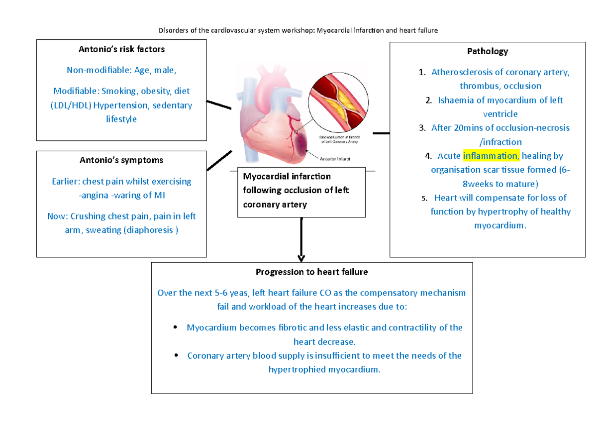 MI diagram - practical - Disorders of the cardiovascular system ...