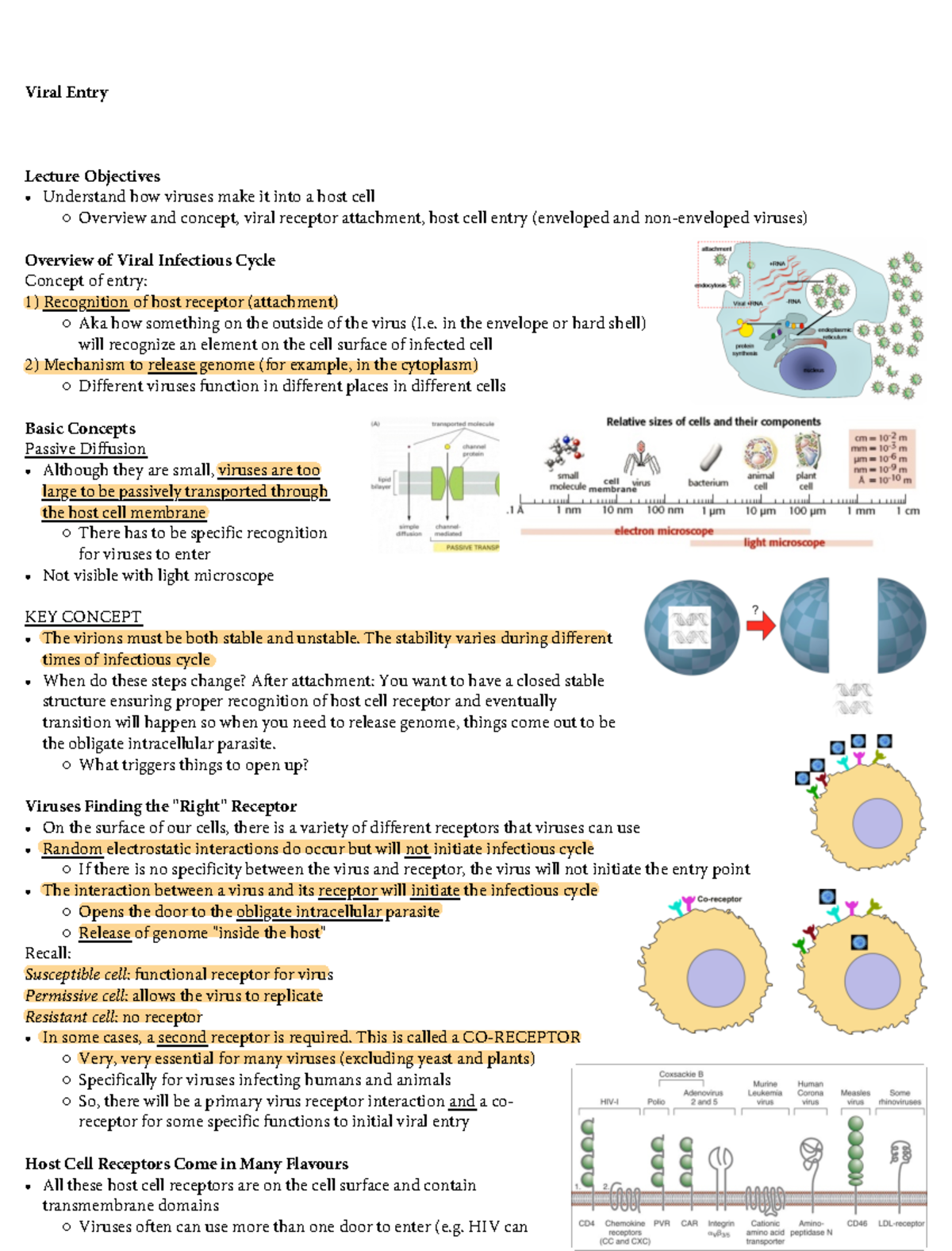 5. Viral Entry - note - Viral Entry Lecture Objectives Understand how ...
