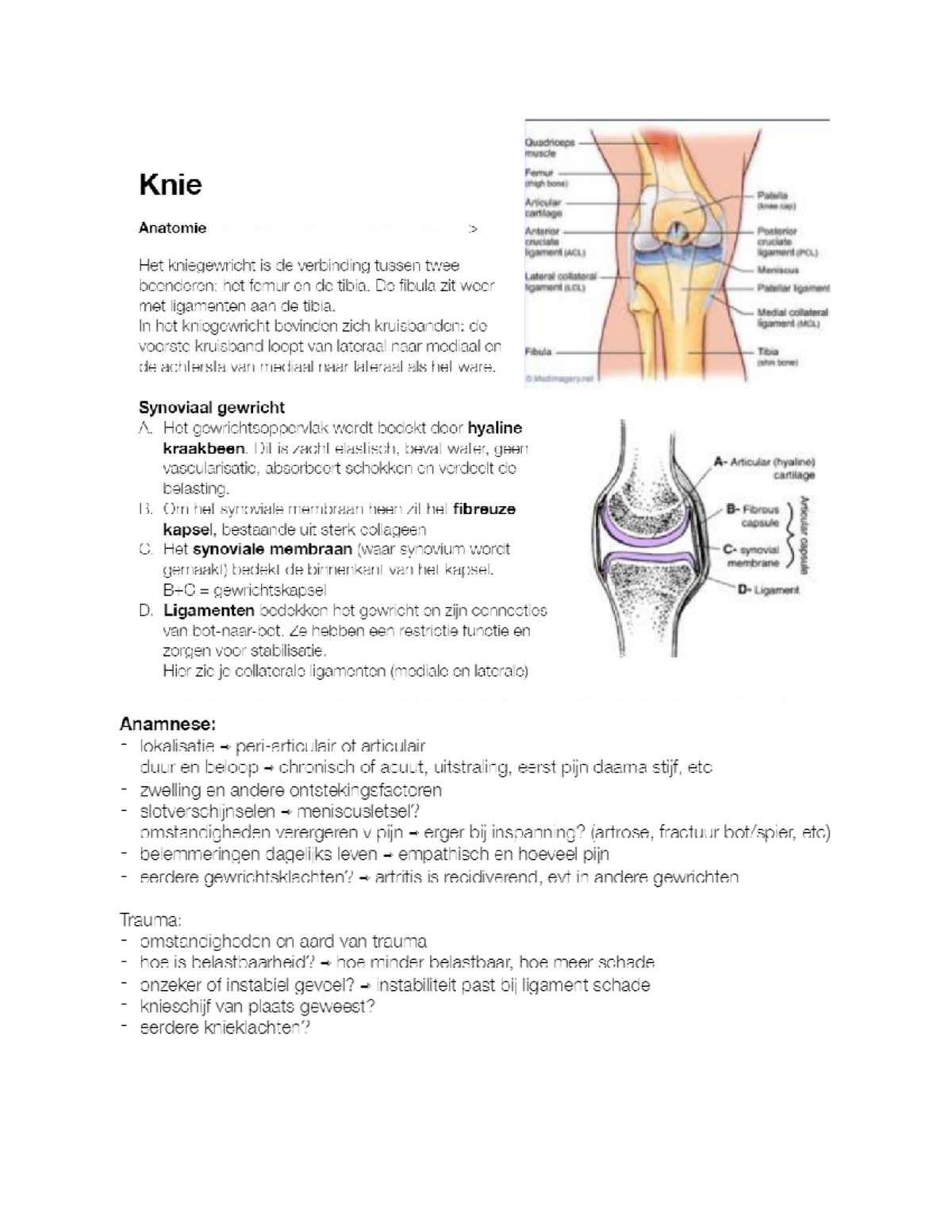 Differentiaal diagnostiek knie gewricht - Drukpijn patellapees op de ...
