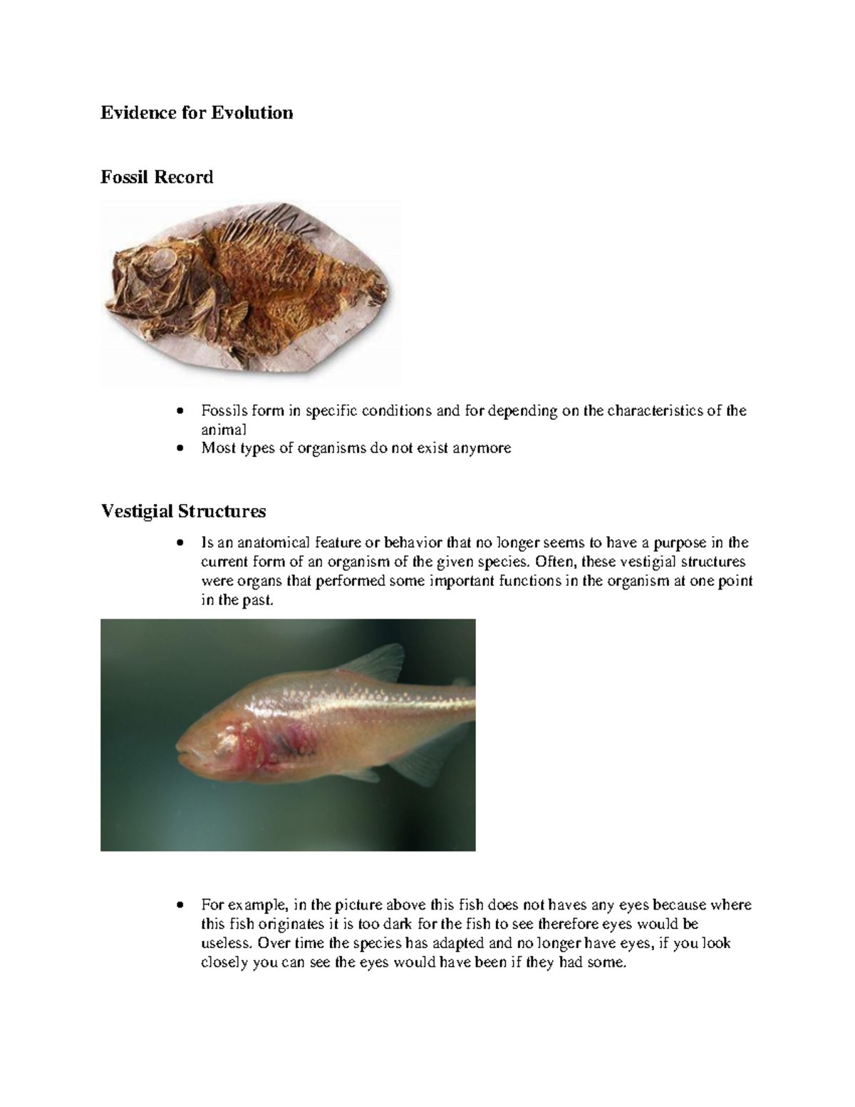 BIO1300: Evolution Pt.2 - Evidence for Evolution Fossil Record Fossils ...