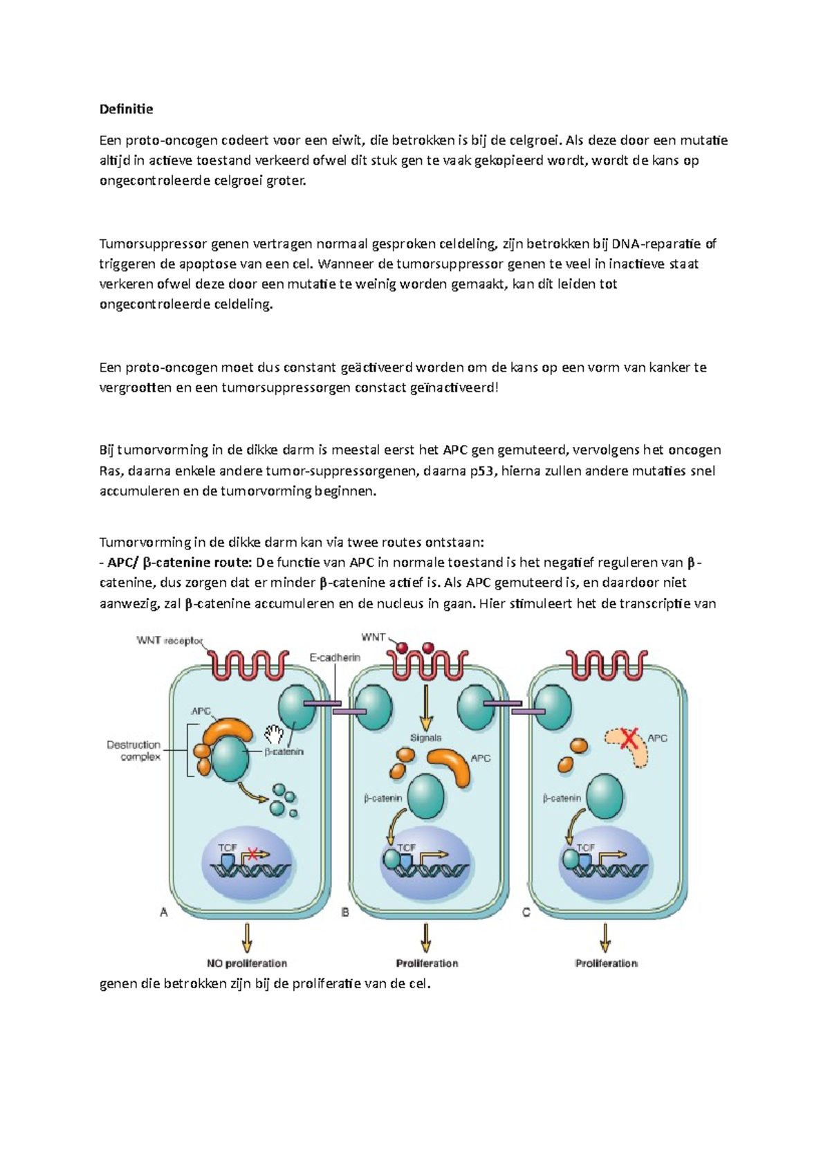 Samenvating Darmkanker - Definitie Een codeert voor een eiwit, die ...