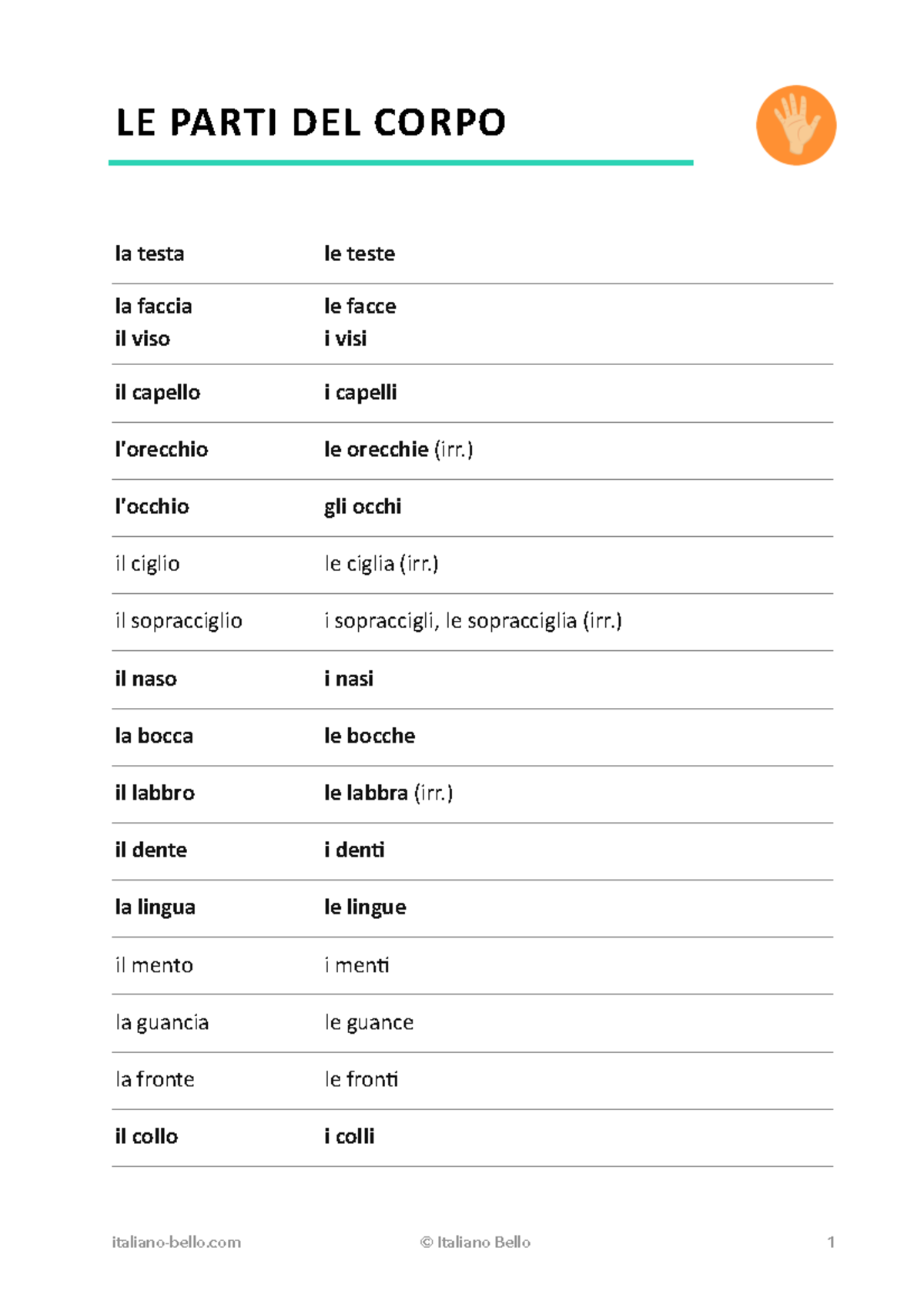Italianobello listavocaboli parti del corpo - la testa le teste la ...