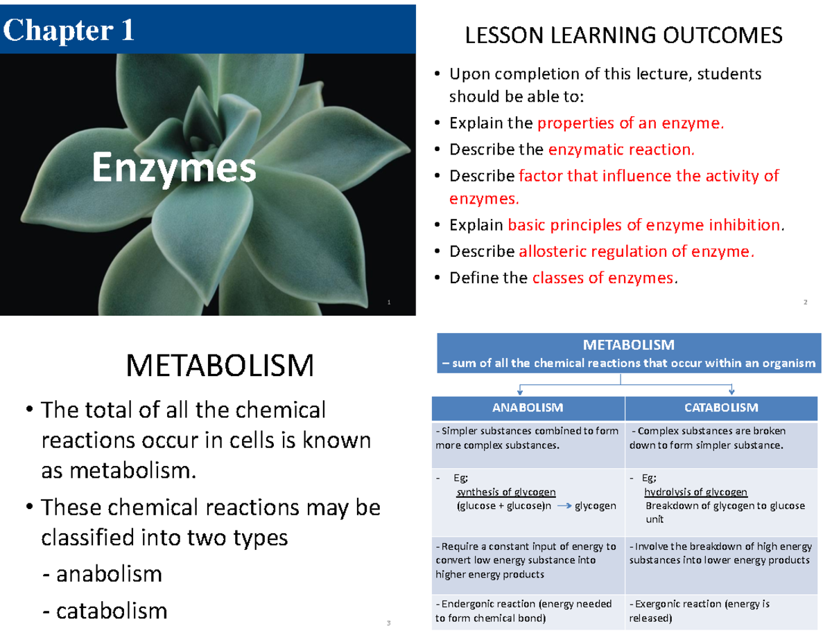Chapter 1 Notes bio 150 - Enzymes Chapter 1 1 LESSON LEARNING OUTCOMES ...