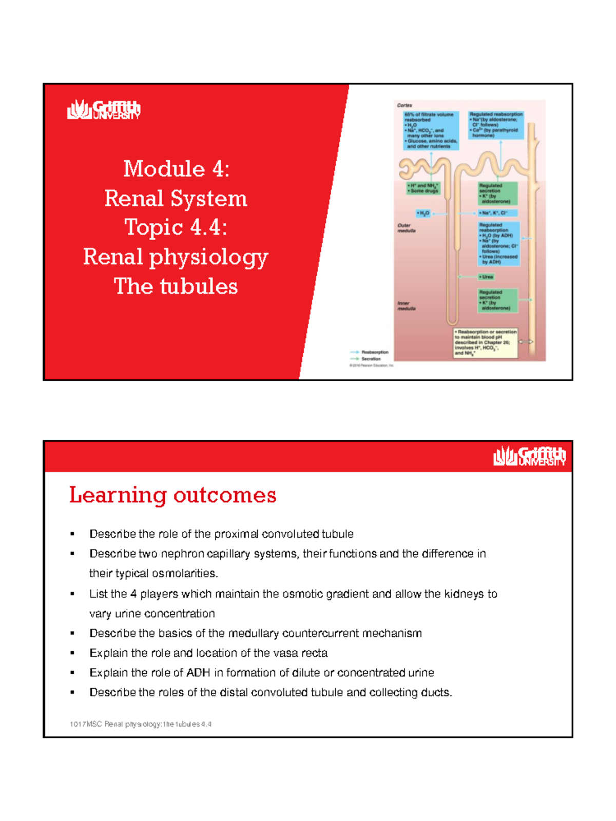 1017MSC Module 4 4.4 slides - Module 4: Renal System Topic 4: Renal ...