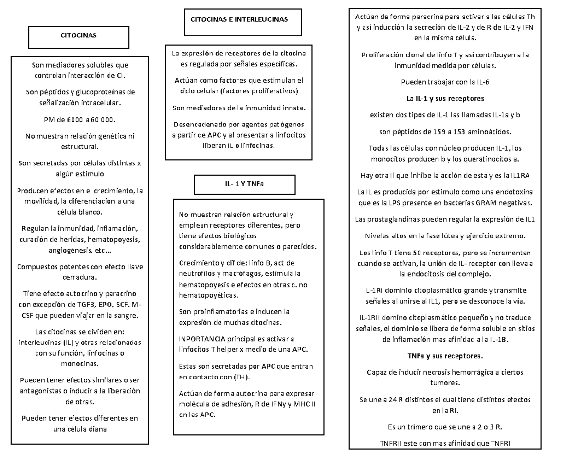 Citocinas E Interleucinas, funciones y células que las secretan ...
