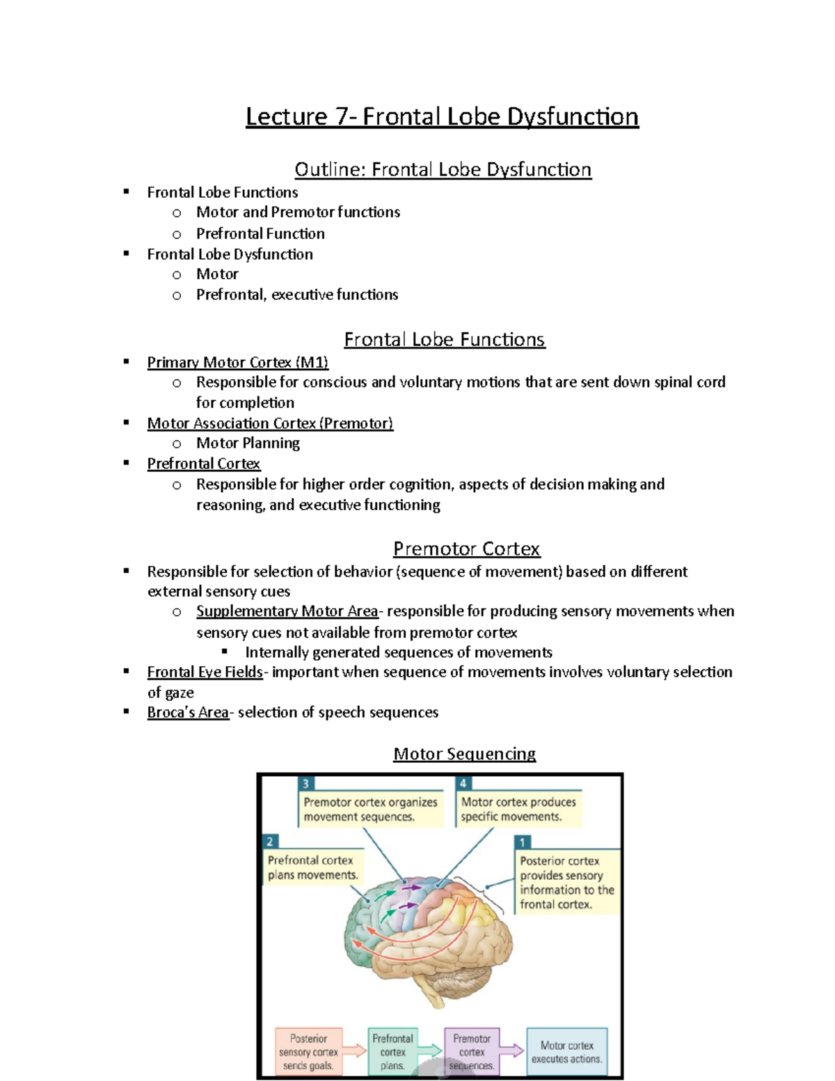 Lecture 7 Clinical Psych - Lecture 7- Frontal Lobe Dysfunction Outline ...