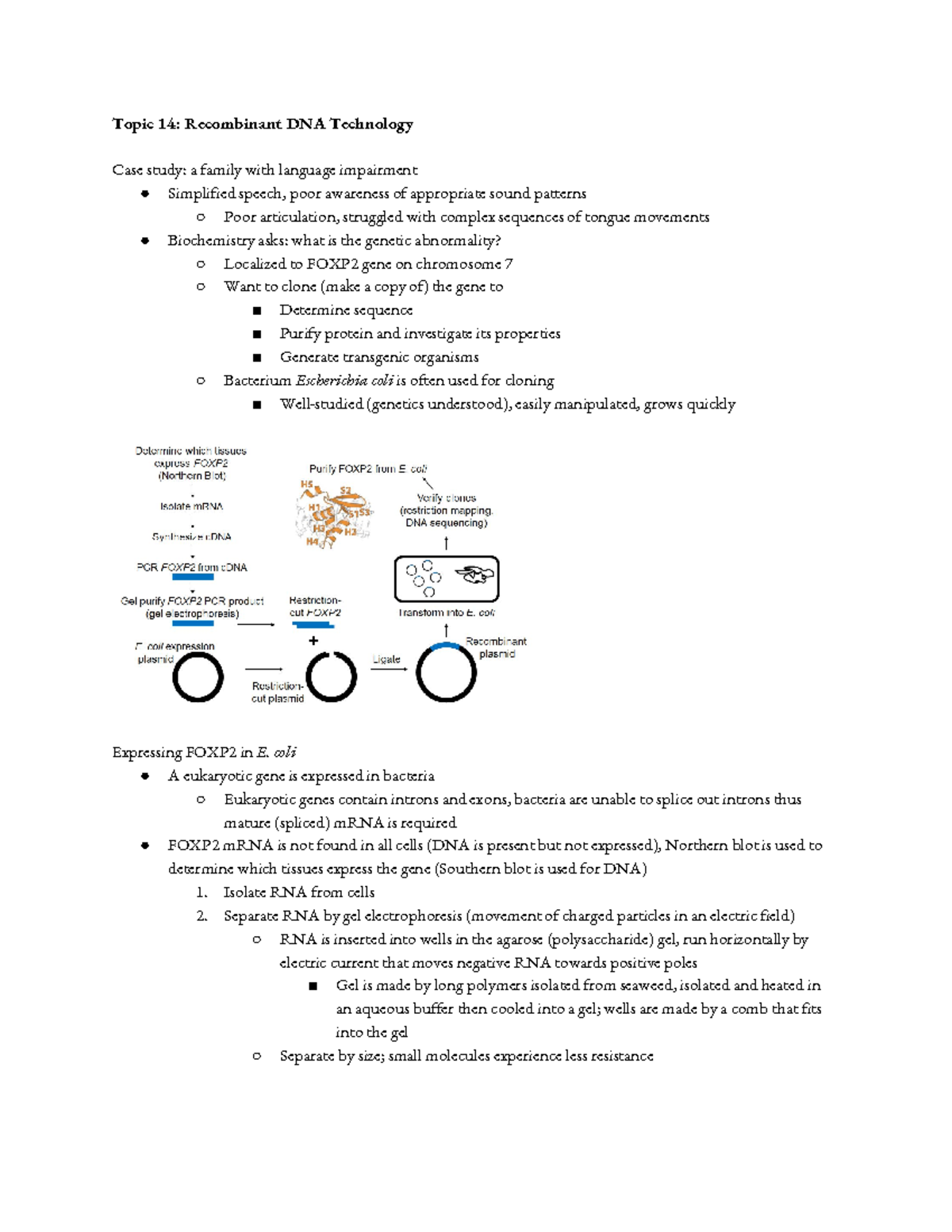 Recombinant DNA Technology: Cloning FOXP2 Gene - Studocu