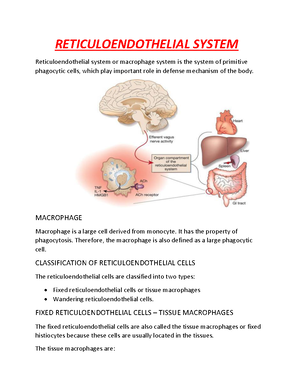 Minor Connectors - Prosthodontics - MINOR CONNECTORS Minor connector ...
