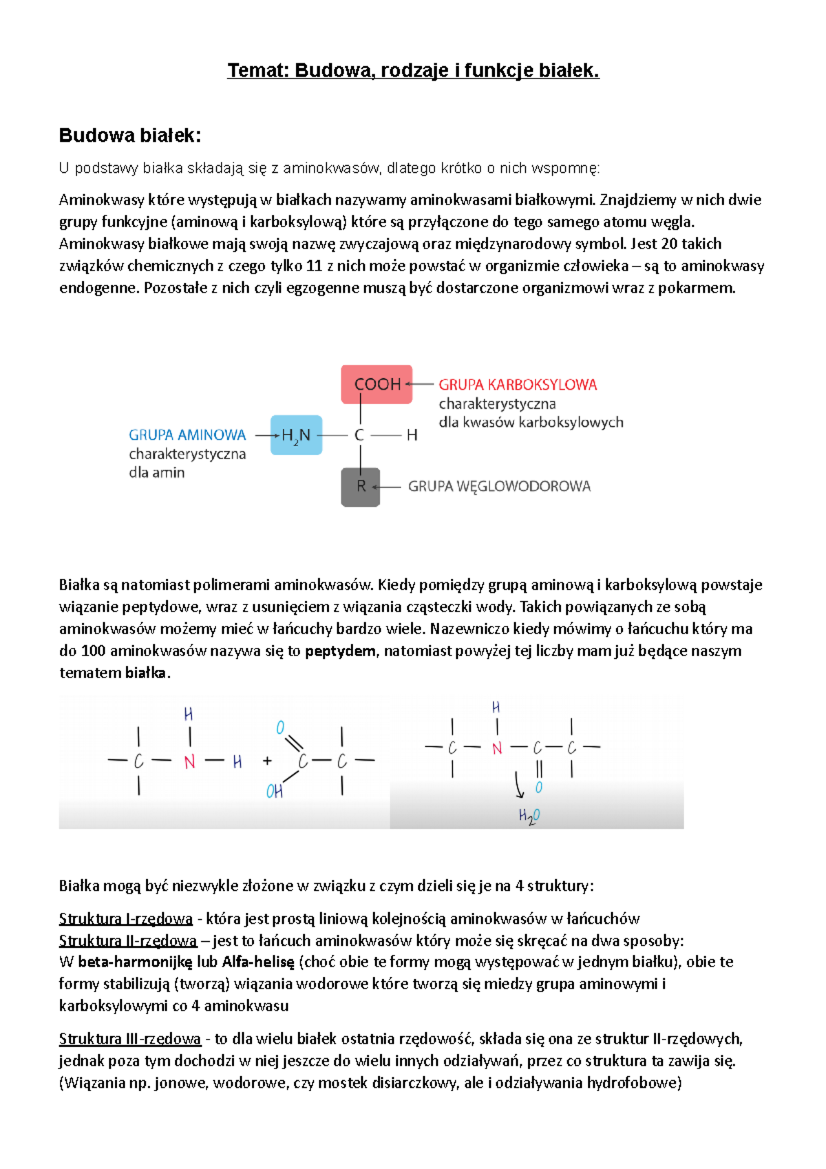 Budowa rodzaje i funkcje bialek - Budowa białek: U podstawy białka ...