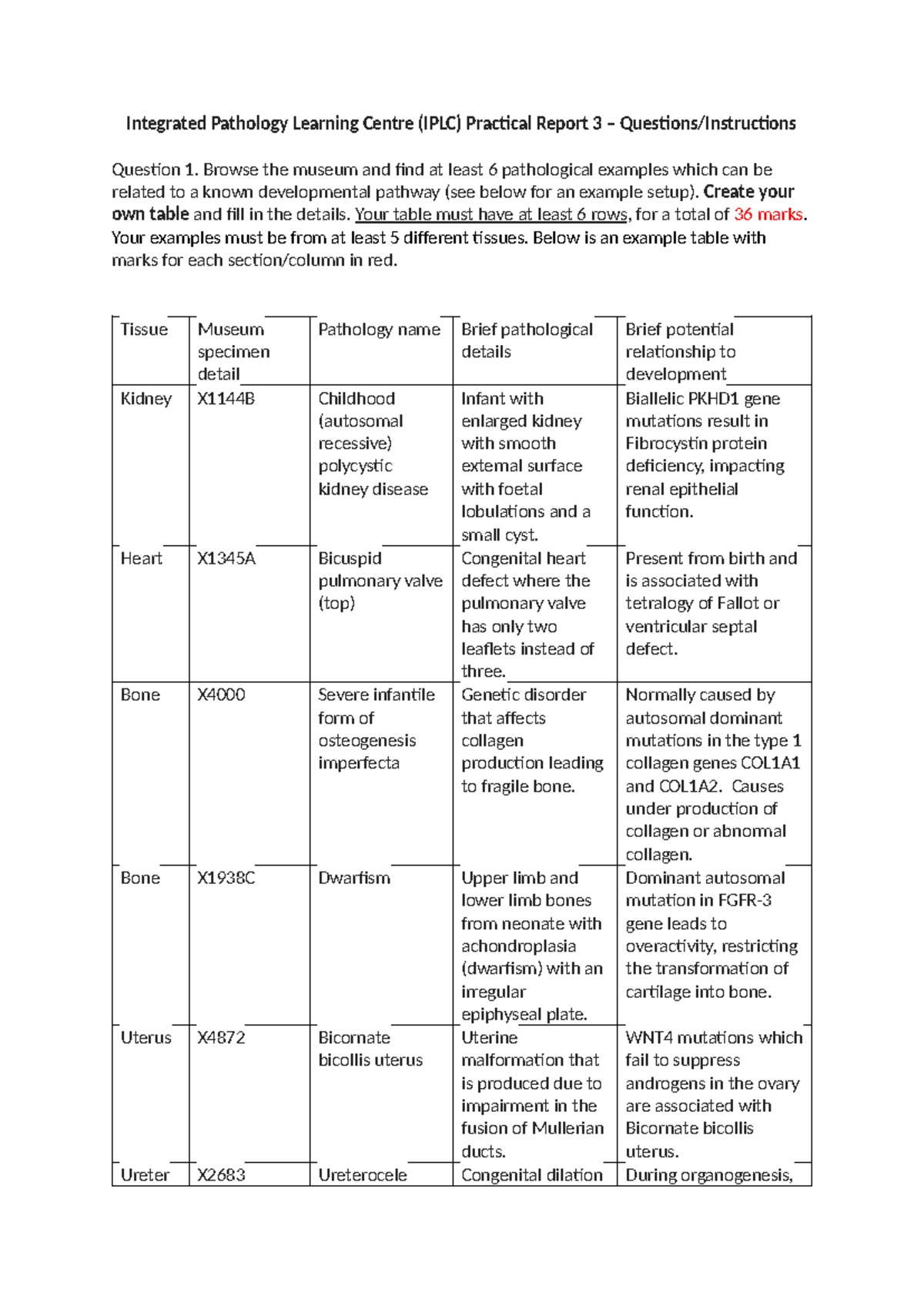 DEVB2000 Practical Report 3 - Integrated Pathology Learning Centre ...