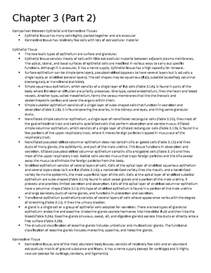 Anatomy Notes - Practice assignments for adaptive work - Which of the ...