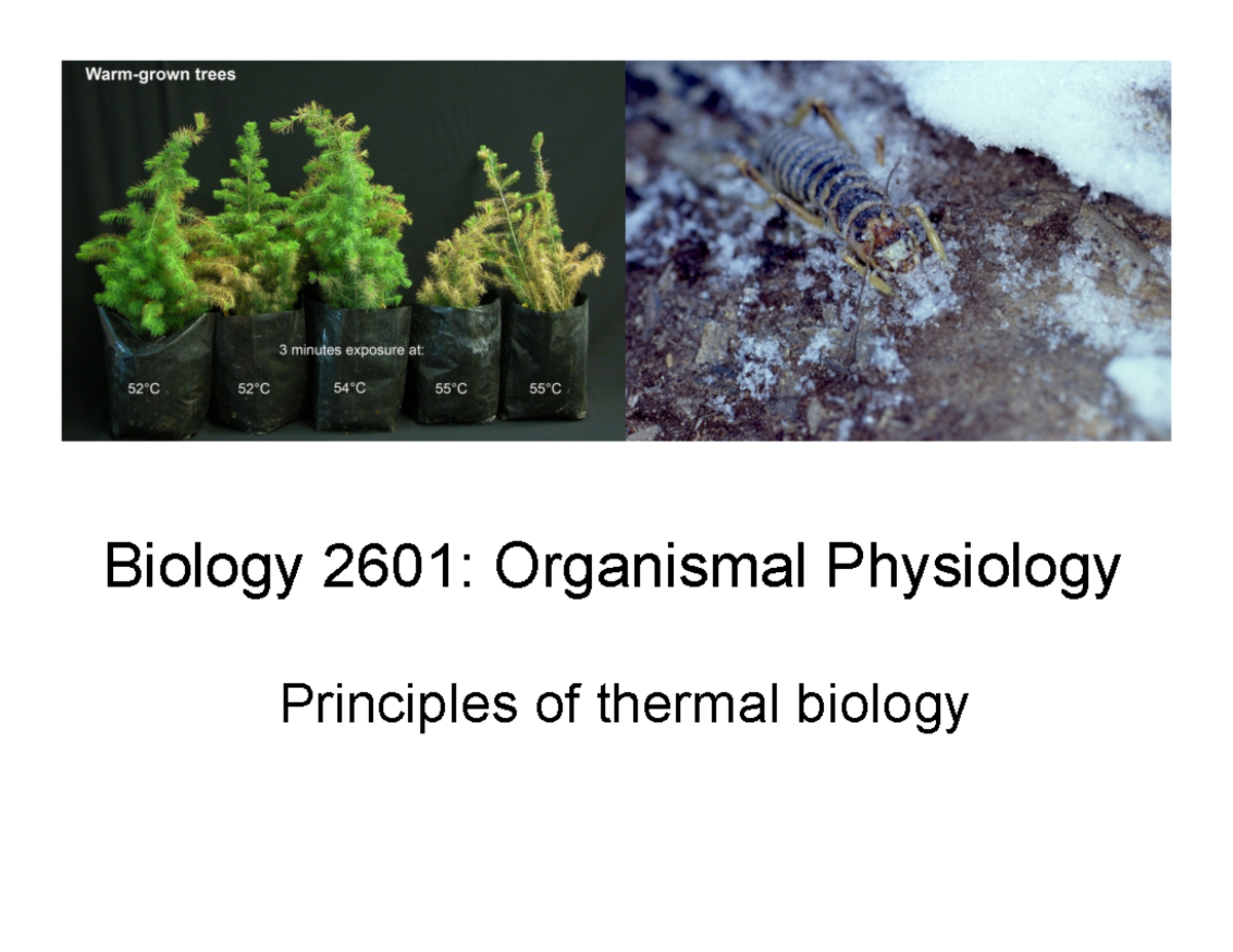 03-Thermal Biology 1 slide - ####### Biology 2601: Organismal ...
