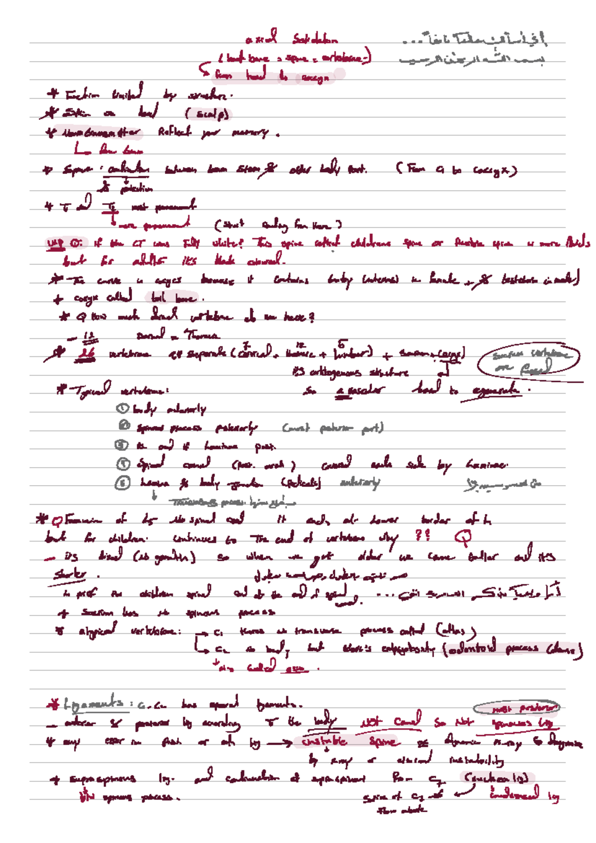 First spinal axis lecture - Lumbar puncture, also known as a spinal tap ...