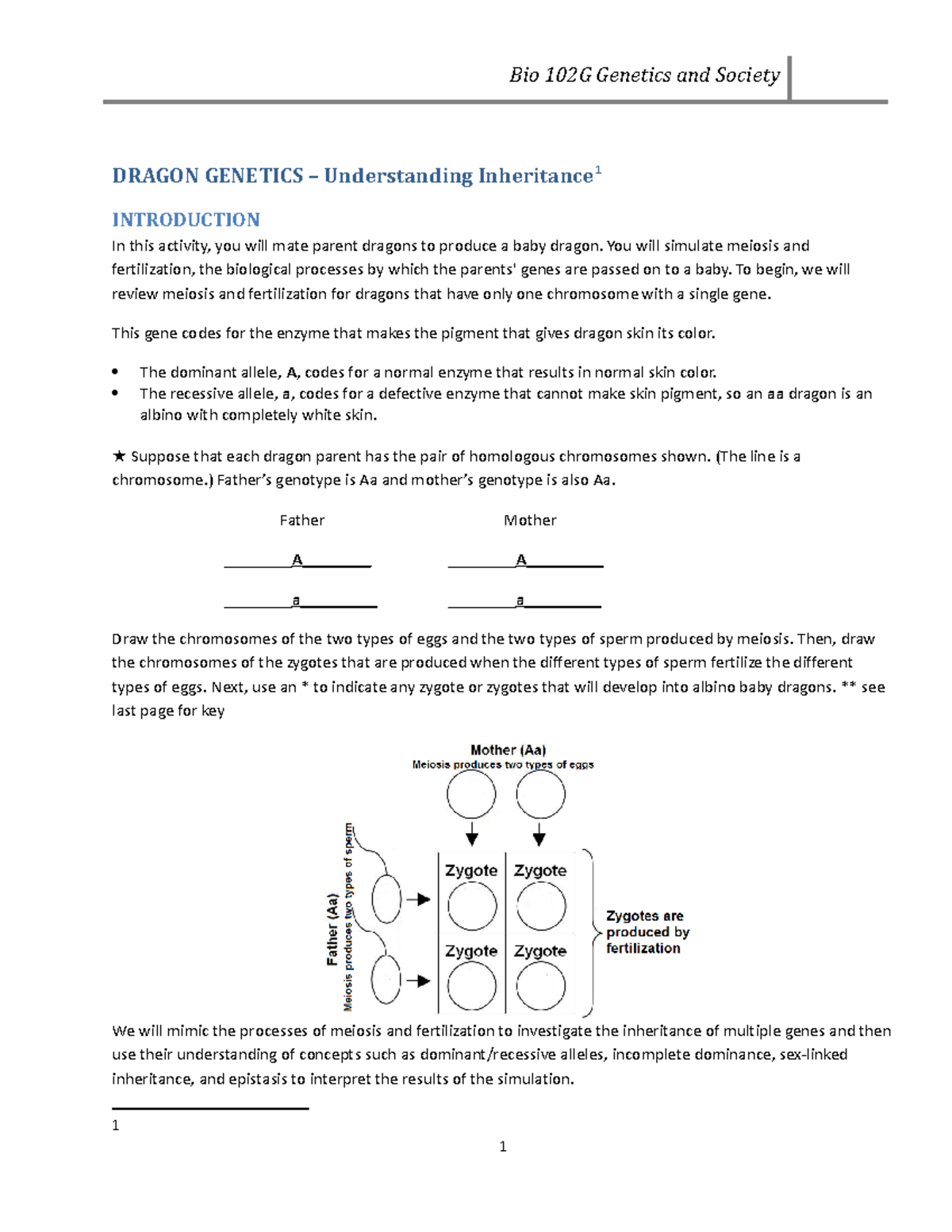 Dragon Genetics - This is an assignment for the course. - DRAGON ...