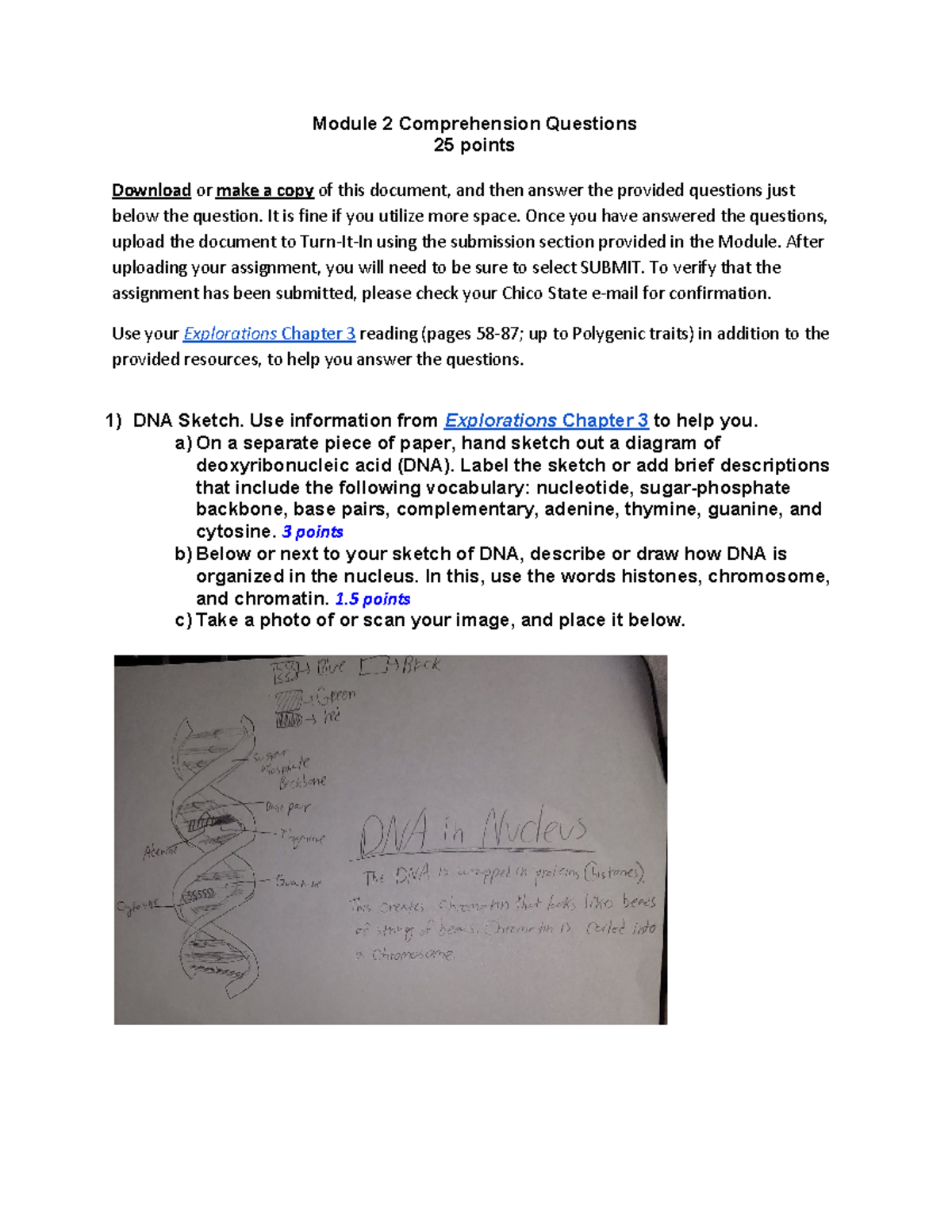 Module 2 Comprehension Questions - Module 2 Comprehension Questions 25 ...
