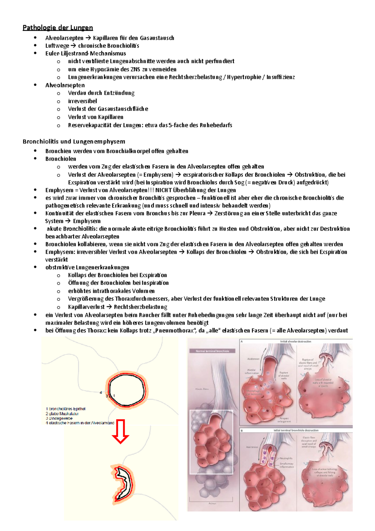 5 - Pathologie der Lungen - Pathologie der Lungen Alveolarsepten ...