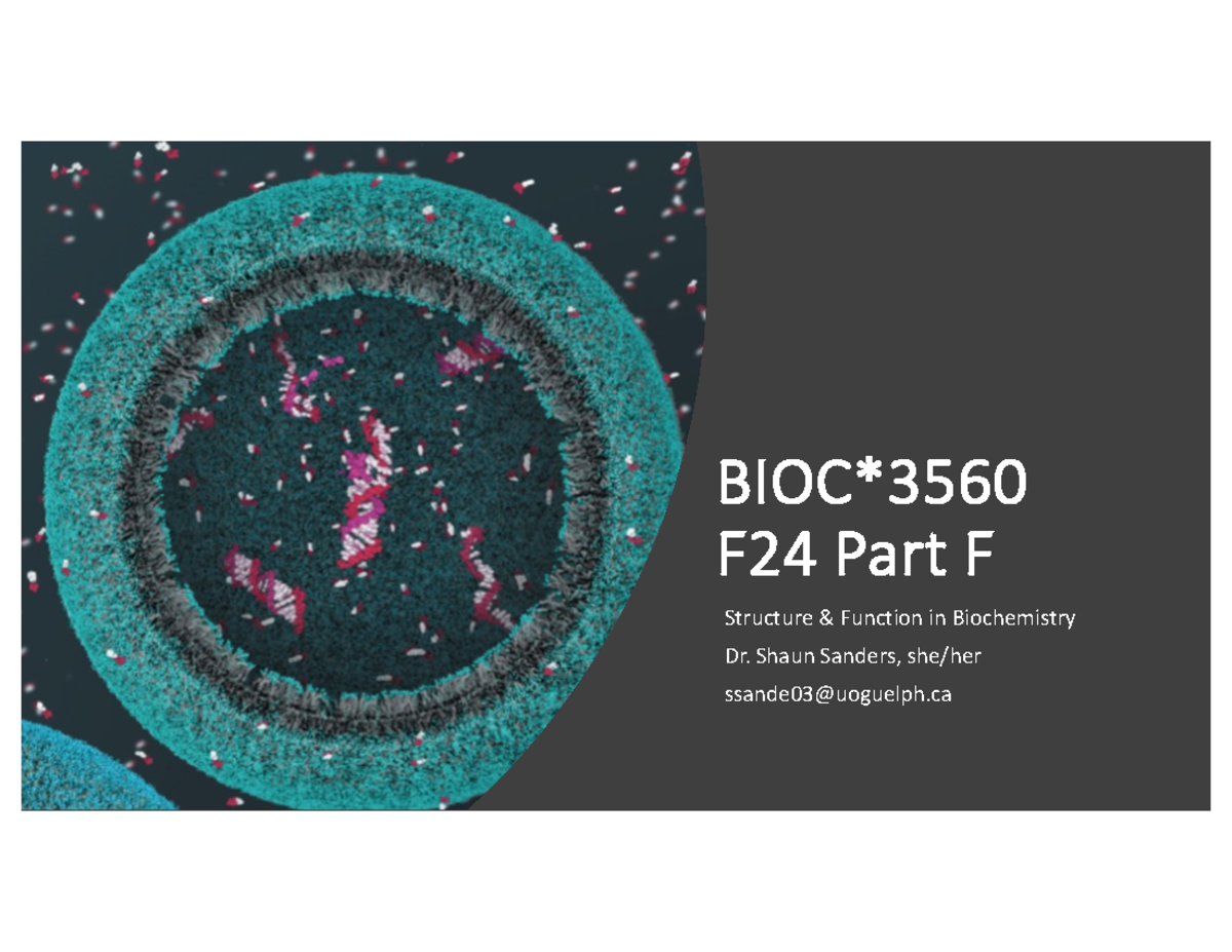 BIOC 3560 F24 all Part F slides - BIOC* F24 Part F Structure & Function ...