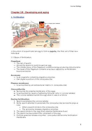 BIO02 Ch2 - Chapter 2 summary - BIOL 2 - Studocu