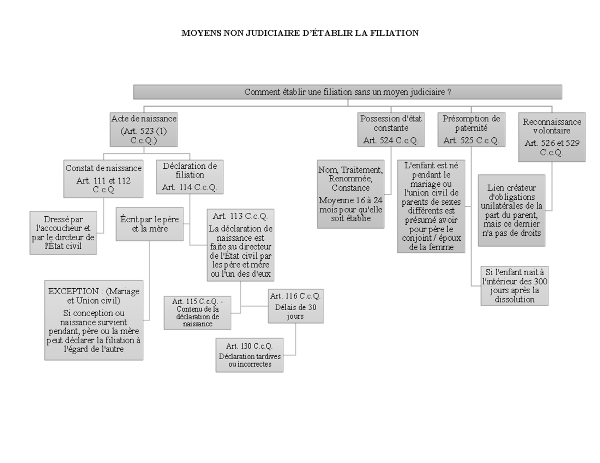 Schéma - Filiation - MOYENS NON JUDICIAIRE D’ÉTABLIR LA FILIATION ...