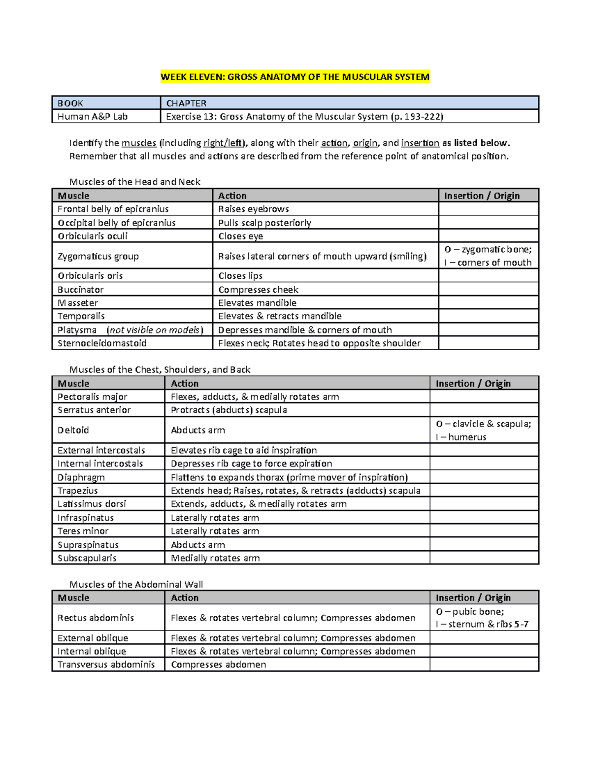 Lab Guide 2401 - Week 11 - WEEK ELEVEN: GROSS ANATOMY OF THE MUSCULAR ...