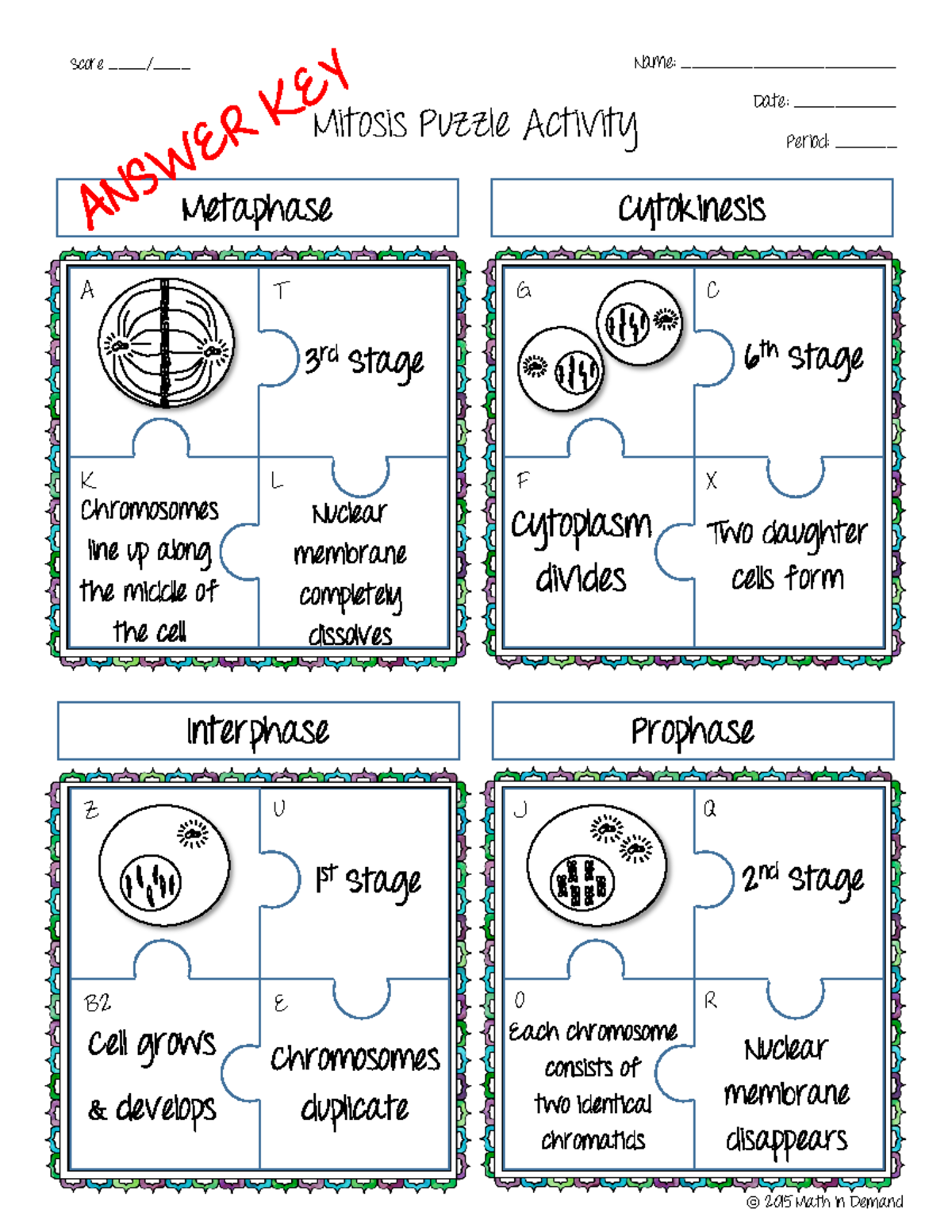 Mitosis Puzzle KEY - Enjoy. - Metaphase Cytokinesis Interphase Prophase ...