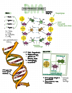 Applications of DNA Technology - Applications of DNA Technology USES OF ...