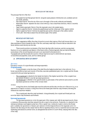 Mental region - Anatomy - Mental region It is a median region of the ...
