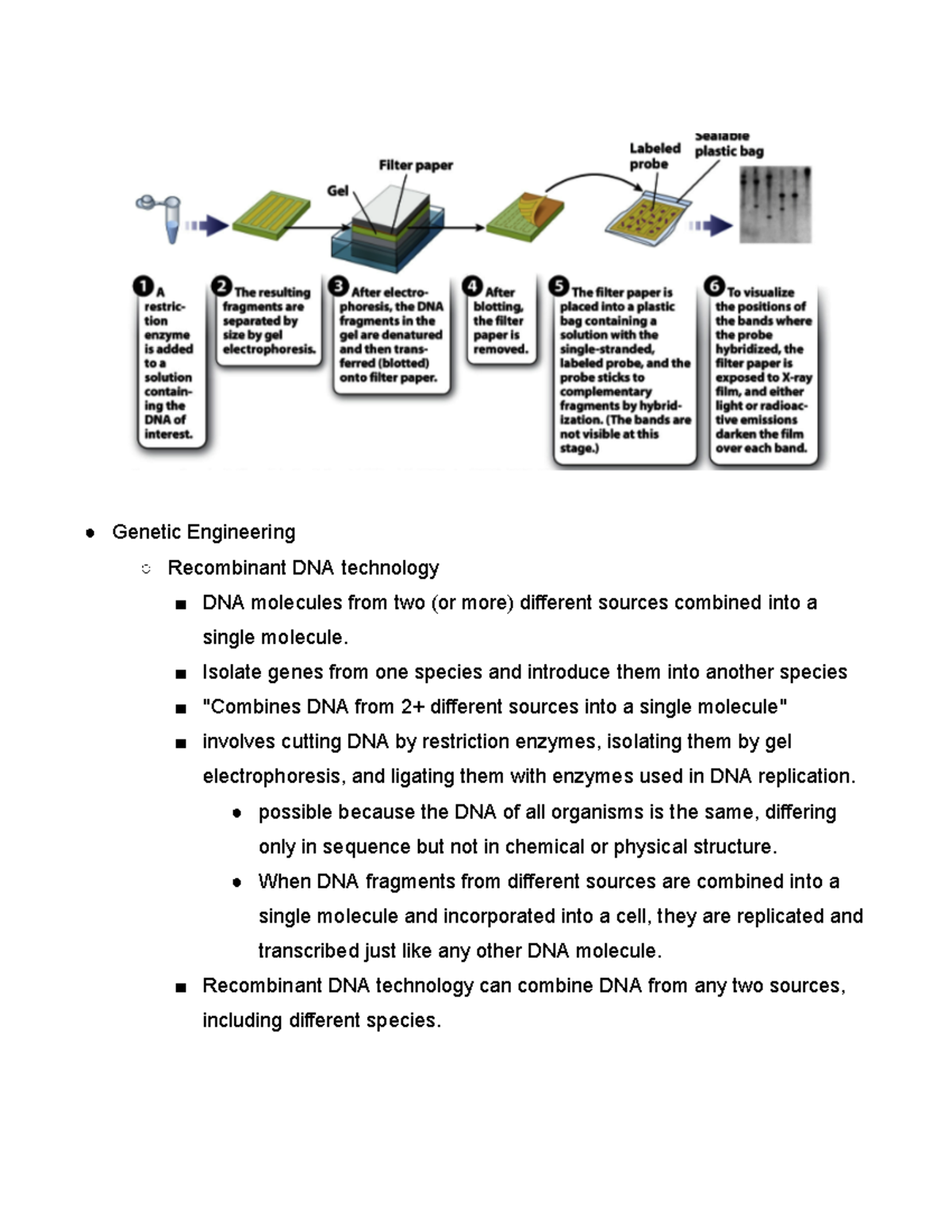 Genetic Engineering - Studocu