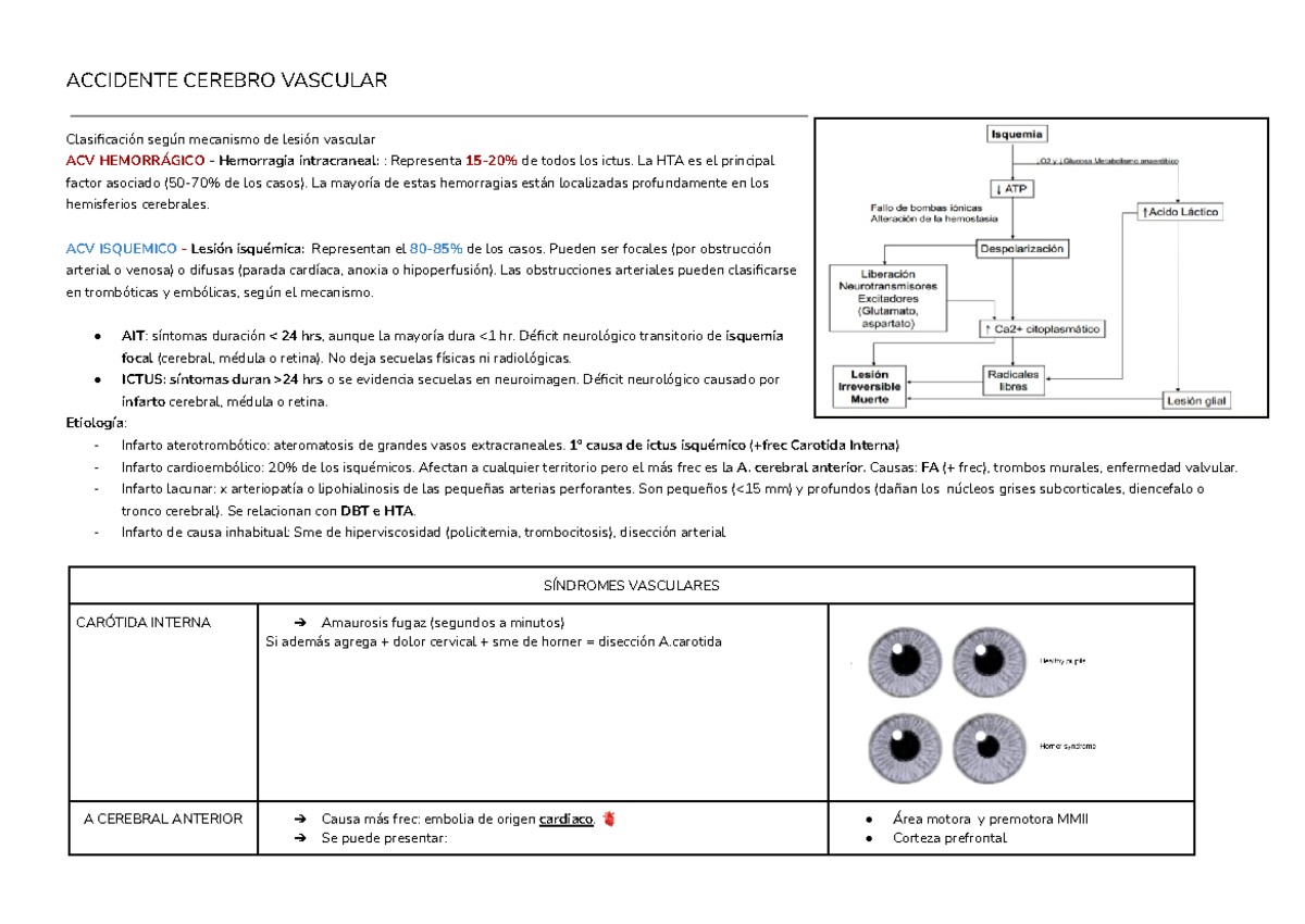 ACV - Resumen Medicina Y Cirugía - ACCIDENTE CEREBRO VASCULAR ...