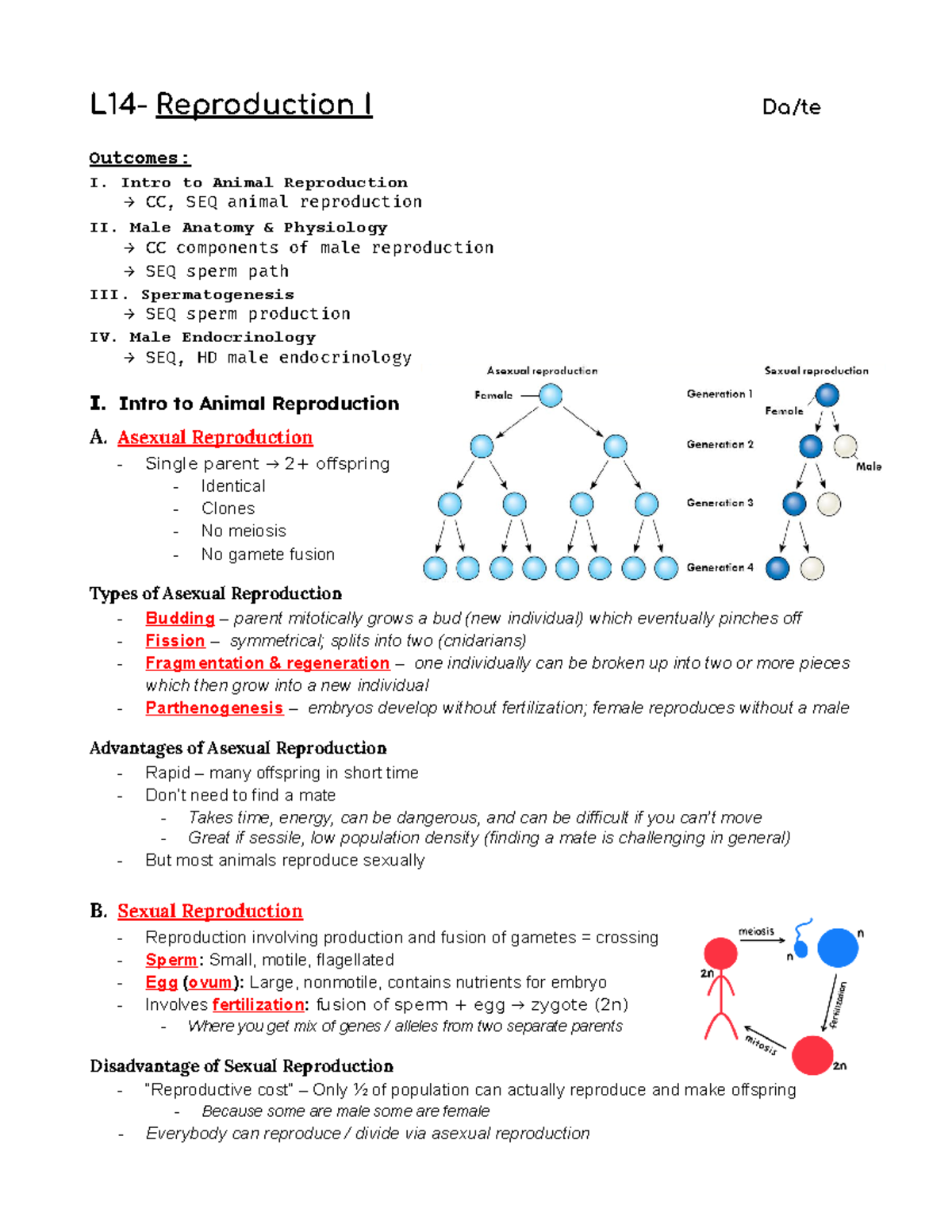 Lecture 14- Reproduction I (Male) - L14- Reproduction I Da/te Outcomes ...