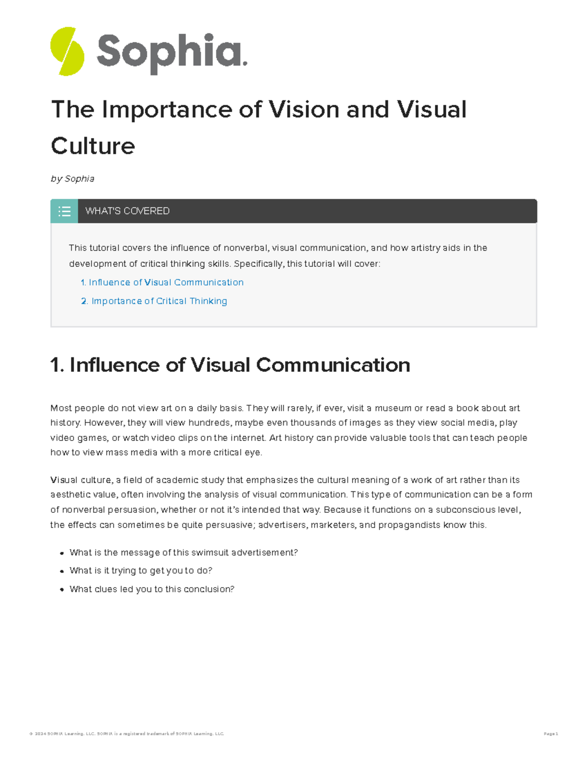 The importance of vision and visual culture 5 - The Importance of ...