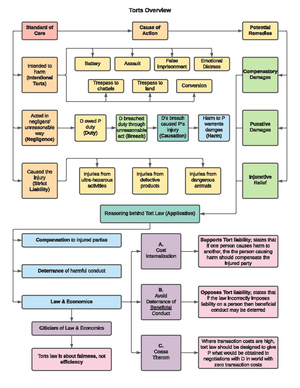 Intentional Torts Flowchart - Intentional Torts Does D meet standard ...