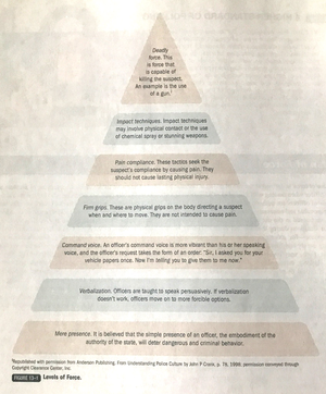 Ch. 5 notes - This course was taught by Dr. Kim - Police Process Ch. 5 ...