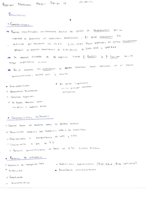 Reporte 8 farma - Practica insulina en rata inducina con aloxan ...