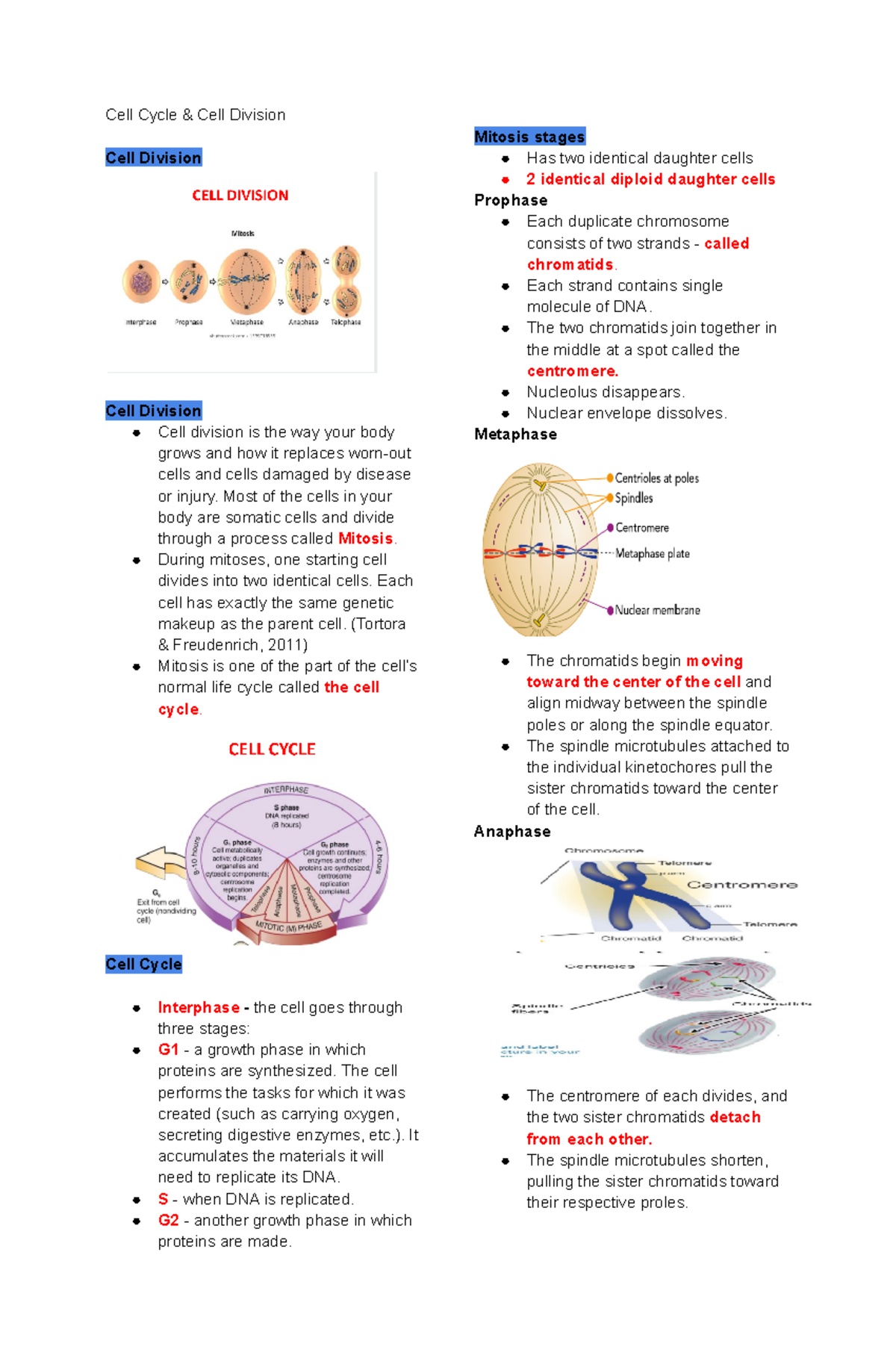 Cell cycle cell division reviewer - Cell Cycle & Cell Division Cell ...