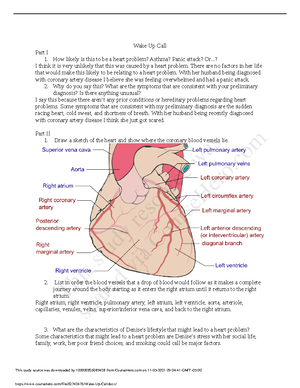 Small bowel Obstruction - ACTIVE LEARNING TEMPLATES THERAPEUTIC ...