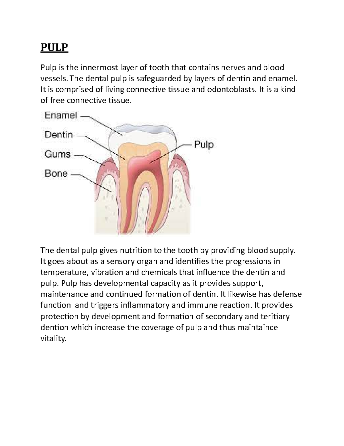 PULP - summery of dental pulp - Orban's Oral Histology and Embryology ...